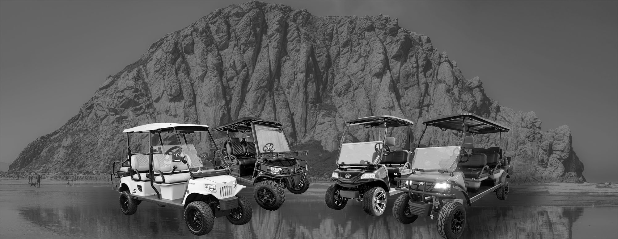 Case Study - Central Coast Carts - Best Designers in the World